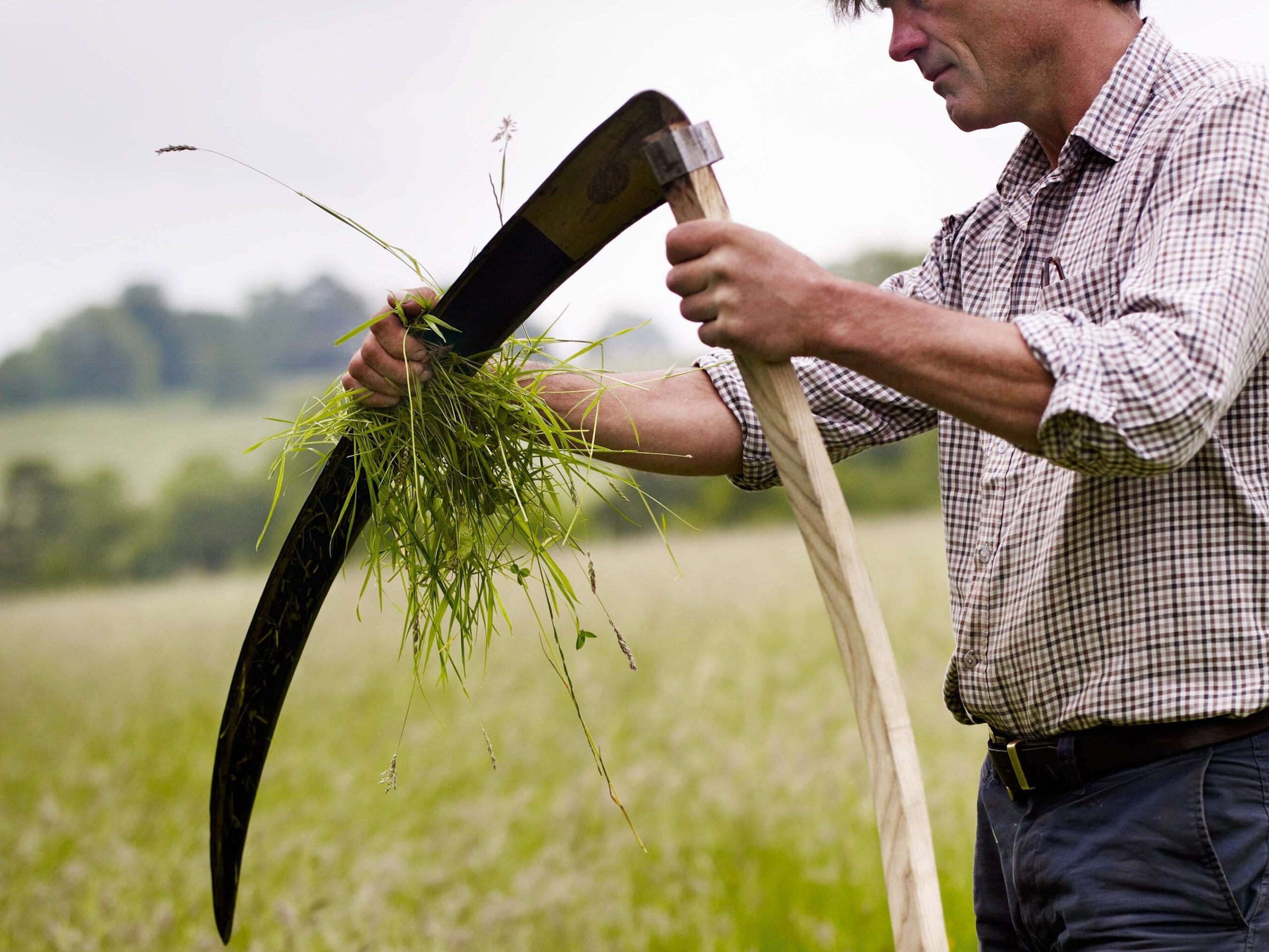 Grass Sickle Cutter Head – Heavy-Duty Blade for Brush Cutter, Lawn ...