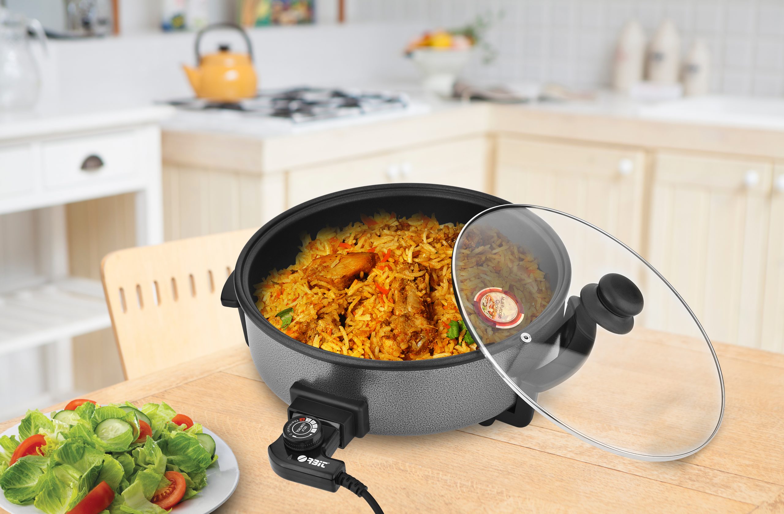 Multipurpose Electric Cooking Pot | Portable Electric Cooker for ...